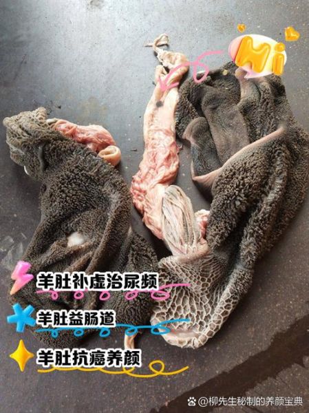 羊肚的功效与作用_羊肚的营养价值有哪些-第2张图片-山城妙识