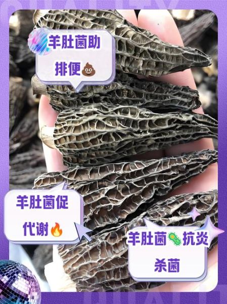 羊肚的功效与作用_羊肚的营养价值有哪些-第3张图片-山城妙识