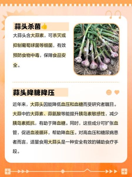 大蒜头的功效与作用及禁忌_哪些人不能吃大蒜头-第2张图片-山城妙识