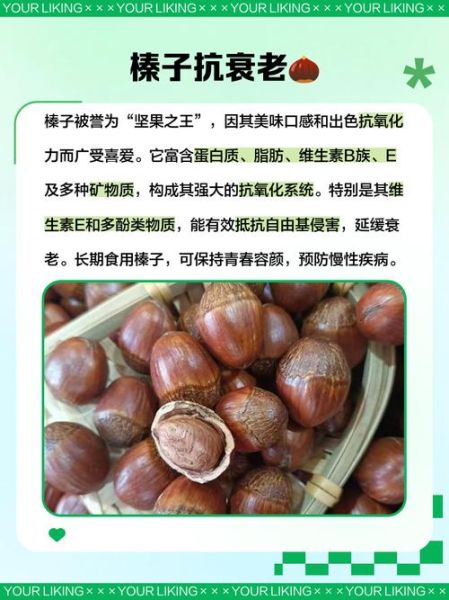 榛子是什么_榛子有哪些营养价值-第3张图片-山城妙识