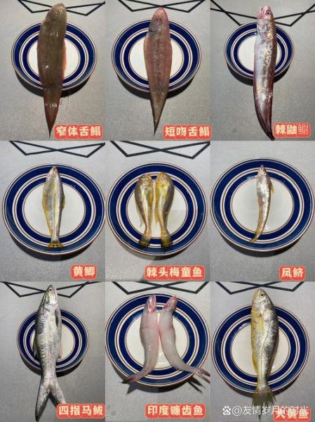 150种海鱼名称大全_如何快速识别常见海鱼-第2张图片-山城妙识