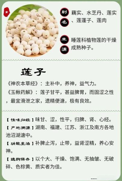 莲子功效与作用禁忌_哪些人不适合吃-第1张图片-山城妙识