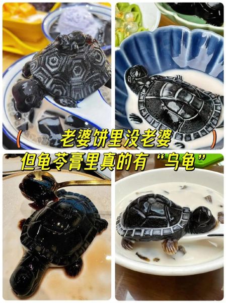 龟苓膏有龟的成分吗_龟苓膏里面真的有乌龟吗-第2张图片-山城妙识
