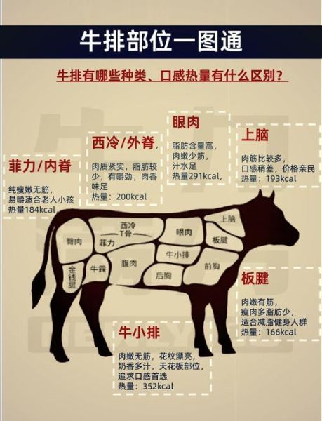 烤牛排用什么部位的肉_哪个部位最嫩-第1张图片-山城妙识