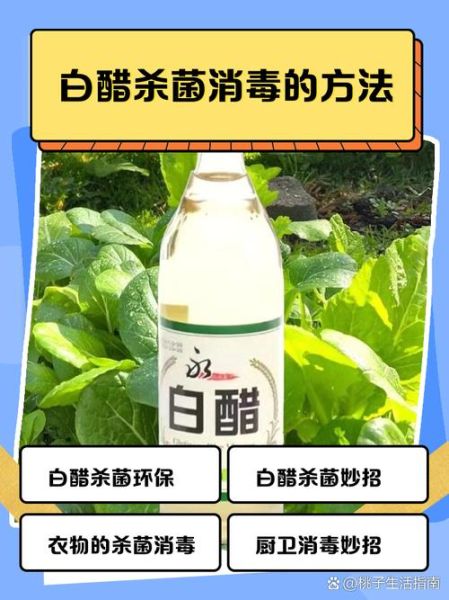白醋能杀菌吗_白醋怎么使用-第1张图片-山城妙识
