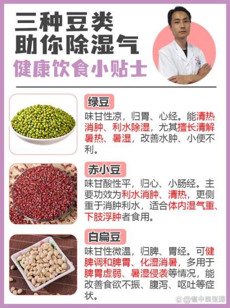 湿气太重了如何快速除湿_湿气重吃什么最快见效-第3张图片-山城妙识