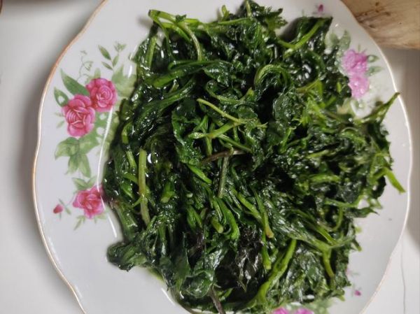 菊花脑菜怎么做好吃_菊花脑菜的做法大全-第2张图片-山城妙识