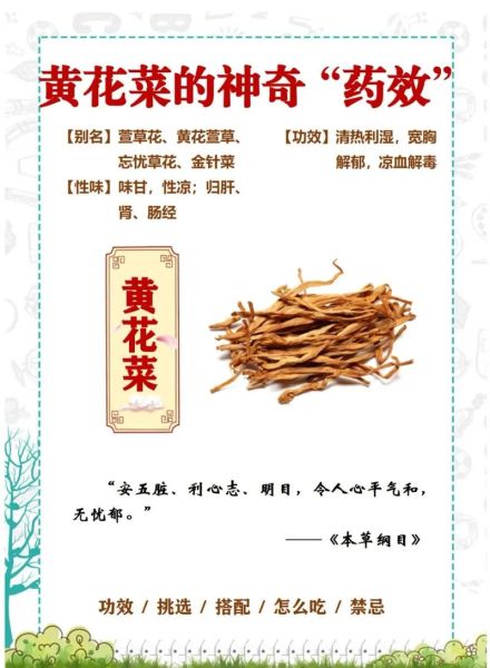 黄花菜的功效与作用_黄花菜怎么吃最营养-第1张图片-山城妙识