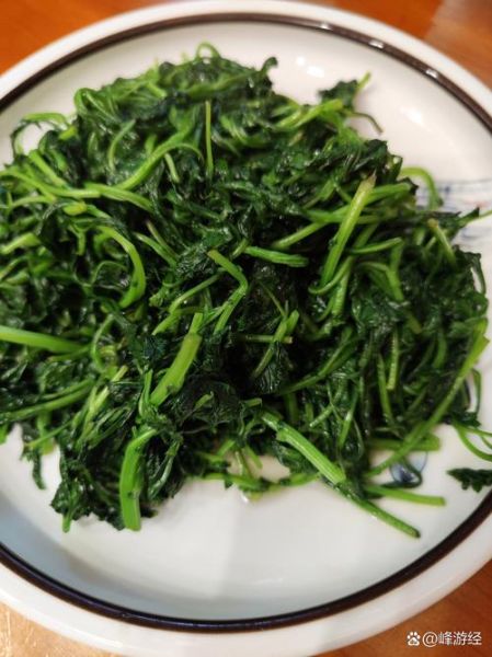 菊花脑菜怎么做好吃_菊花脑菜的做法大全-第3张图片-山城妙识