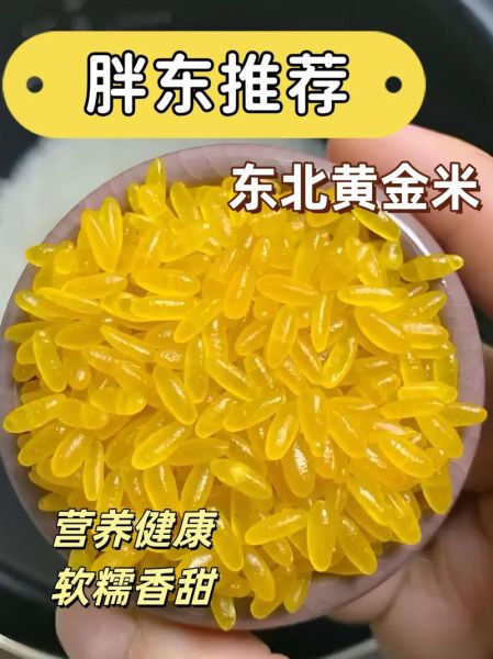 黄金大米事件最终结果_转基因大米安全吗-第1张图片-山城妙识