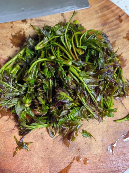 香椿炒鸡蛋要不要焯水_香椿焯水多久才安全-第1张图片-山城妙识