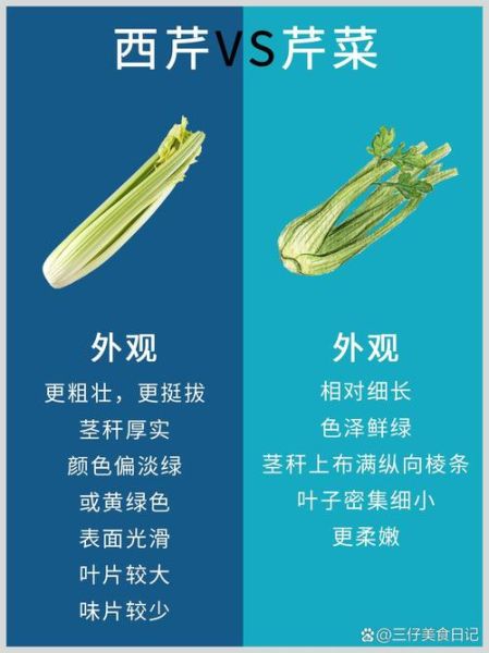 西芹和芹菜的区别_哪个更好吃-第1张图片-山城妙识