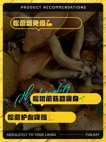松蘑的功效与作用_松蘑怎么吃最营养-第3张图片-山城妙识
