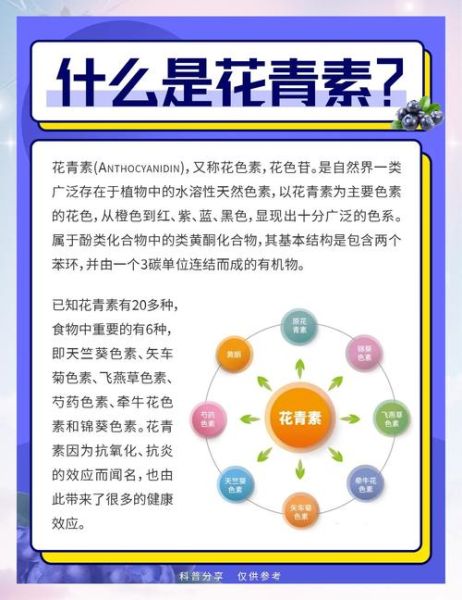 甜菜红素和花青素有什么区别_哪个更稳定-第1张图片-山城妙识
