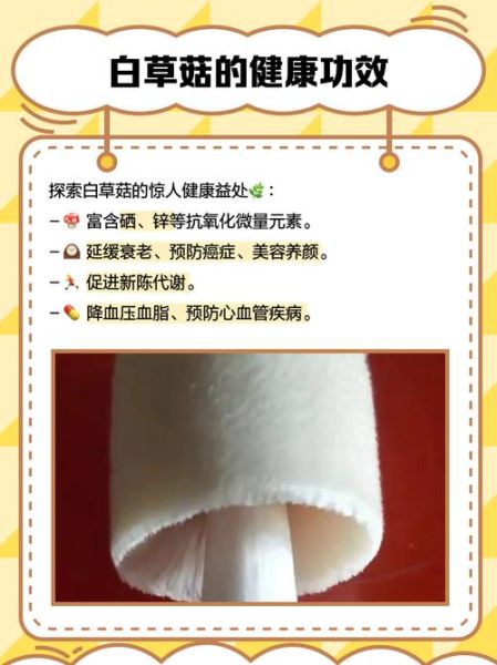 草菇种植方法_草菇原料有哪些-第1张图片-山城妙识