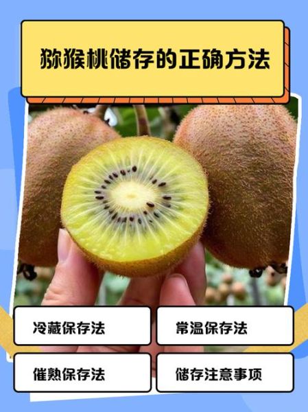 猕猴桃可以放冰箱吗_猕猴桃冷藏保存多久-第3张图片-山城妙识