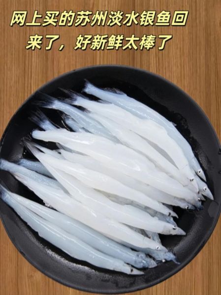银鱼图片大全大图_银鱼高清图鉴哪里找-第3张图片-山城妙识