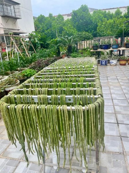 蔬菜干是油炸的吗_蔬菜干烘干和油炸区别-第3张图片-山城妙识