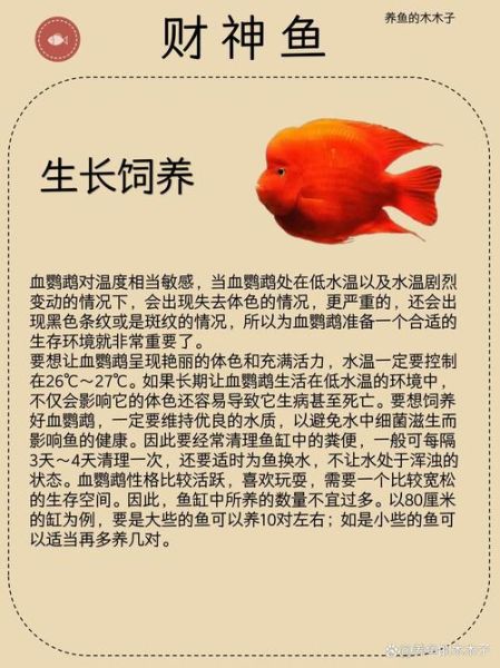 财鱼的功效与作用_财鱼适合什么人吃-第1张图片-山城妙识