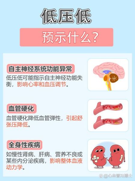 血压低是怎么造成的_低血压的原因有哪些-第1张图片-山城妙识 血压低是怎么造成的_低血压的原因有哪些-第1张图片-山城妙识