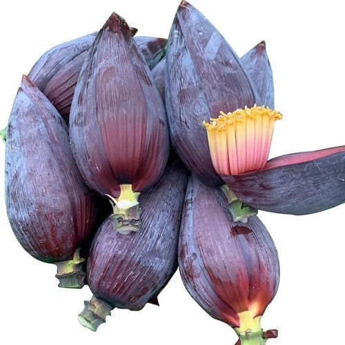 香蕉花图片_香蕉花可以吃吗-第3张图片-山城妙识 香蕉花图片_香蕉花可以吃吗-第3张图片-山城妙识