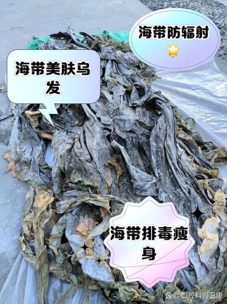 每天吃海带有什么危害_海带吃多了会怎样-第2张图片-山城妙识