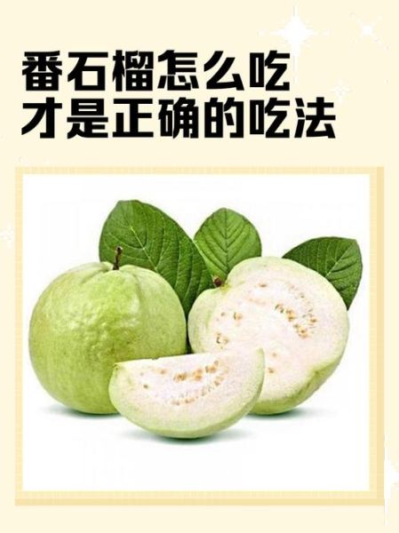 番石榴怎么吃好吃_番石榴怎么吃不涩-第1张图片-山城妙识