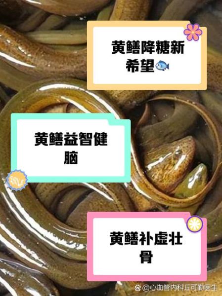 黄鳝壮阳还是泥鳅壮阳_哪个效果更好-第1张图片-山城妙识