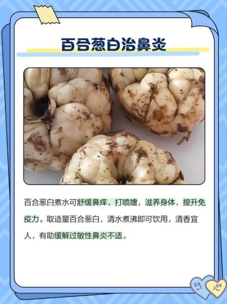 葱白煮水什么时候喝效果最好_葱白煮水最佳饮用时间-第3张图片-山城妙识