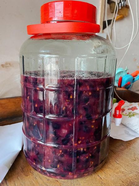 自己酿葡萄酒怎么做_家庭自酿葡萄酒步骤-第3张图片-山城妙识