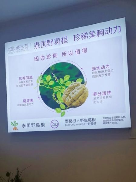 野葛根丰胸真的有用吗_野葛根怎么吃丰胸效果最好-第2张图片-山城妙识