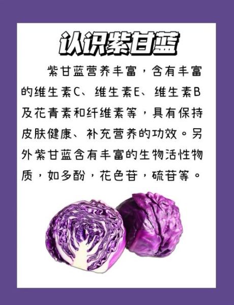 长期吃紫甘蓝有什么好处_紫甘蓝能天天吃吗-第1张图片-山城妙识