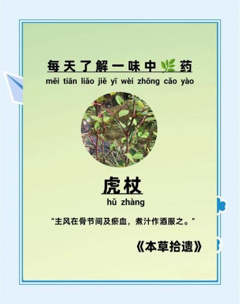虎杖的功效与作用_虎杖能降尿酸吗-第2张图片-山城妙识