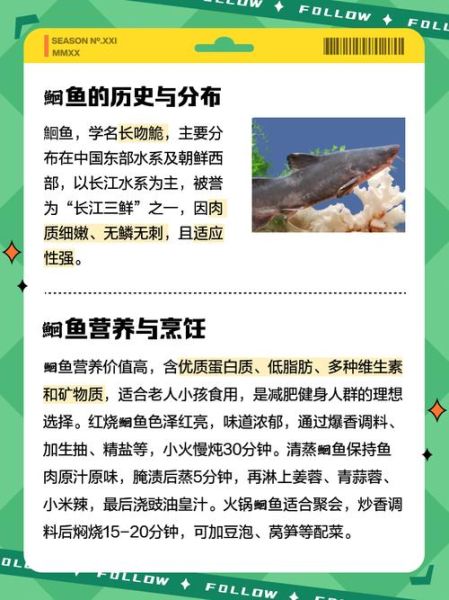 鮰鱼怎么清洗_鮰鱼去腥技巧-第1张图片-山城妙识