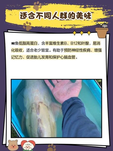 鮰鱼怎么清洗_鮰鱼去腥技巧-第2张图片-山城妙识