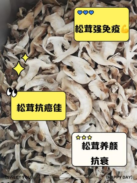鲜松茸的功效与作用_怎么吃最营养-第3张图片-山城妙识