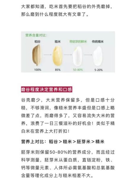 胚芽米和大米有什么区别_哪个更营养-第1张图片-山城妙识
