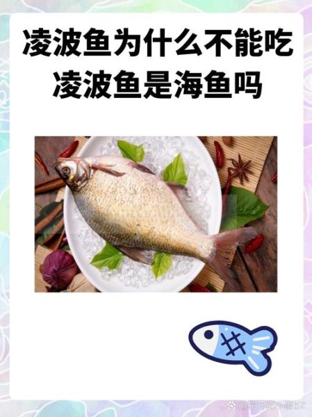 为什么有人说巴沙鱼不能吃_巴沙鱼到底能不能吃-第2张图片-山城妙识