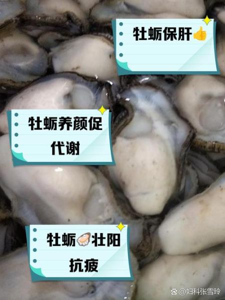 牡蛎肉的功效与作用_牡蛎肉怎么吃最营养-第1张图片-山城妙识
