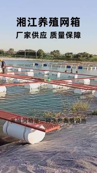 鳝鱼养殖网箱多少钱一个_鳝鱼养殖网箱怎么选-第3张图片-山城妙识