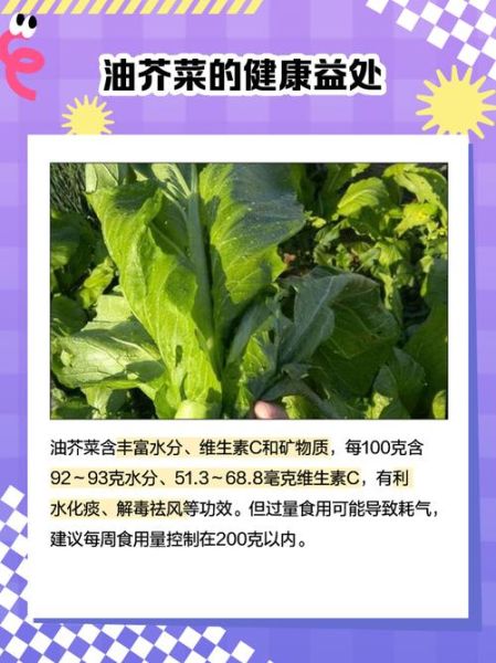 芥花油的好处和坏处_适合高温炒菜吗-第2张图片-山城妙识