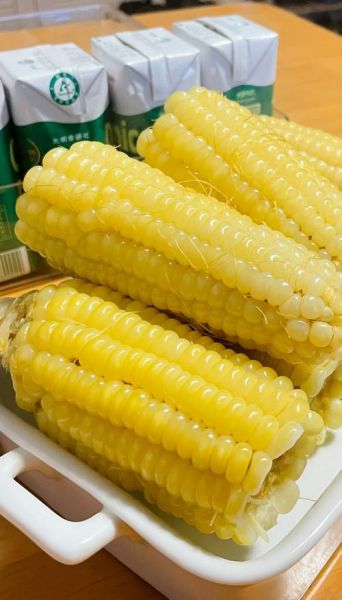 鲜玉米棒煮多久能熟_鲜玉米棒煮多长时间最好吃-第1张图片-山城妙识