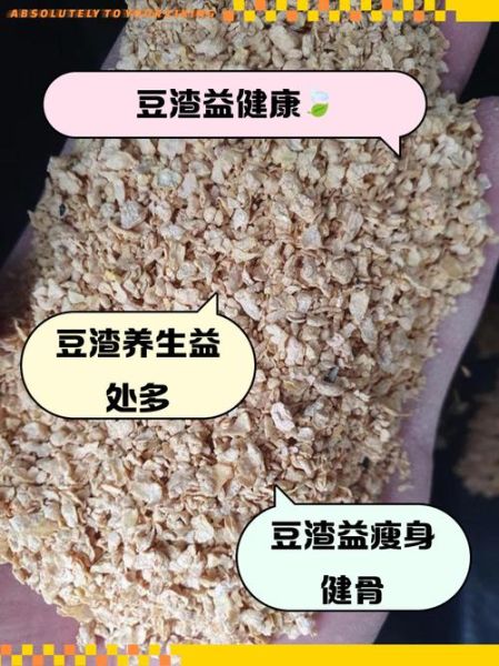豆渣的营养价值有哪些_豆渣怎么吃最健康-第1张图片-山城妙识
