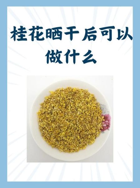 新鲜桂花怎么处理_如何保存桂花香味-第3张图片-山城妙识