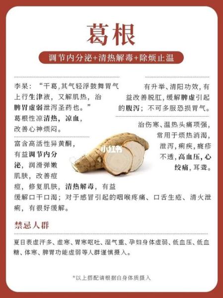 葛根的副作用有哪些_葛根禁忌人群-第1张图片-山城妙识