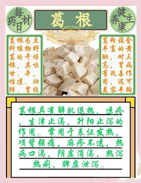 葛根的副作用有哪些_葛根禁忌人群-第2张图片-山城妙识