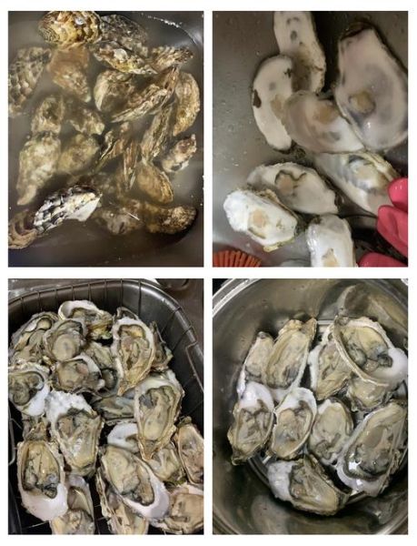 生蚝怎么清理_生蚝清洗的正确方法-第2张图片-山城妙识 生蚝怎么清理_生蚝清洗的正确方法-第2张图片-山城妙识