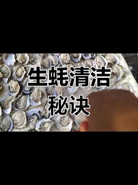 生蚝怎么清理_生蚝清洗的正确方法-第3张图片-山城妙识 生蚝怎么清理_生蚝清洗的正确方法-第3张图片-山城妙识
