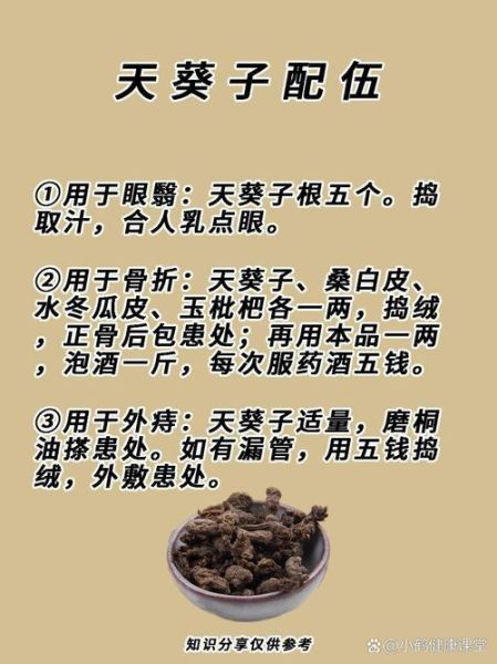 天葵期间是什么意思_天葵期间注意事项-第1张图片-山城妙识