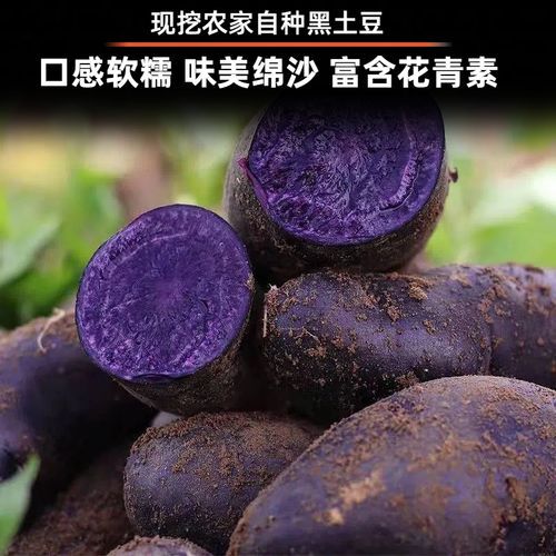 黑土豆产地在哪里_黑土豆哪里产的好吃-第2张图片-山城妙识